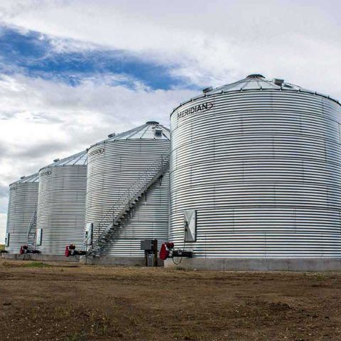 Grainlogic | Flat Bottom Silos